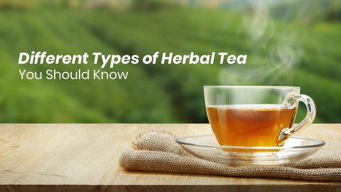 Exploring The Top 10 Most Popular Types Of Indian Tea