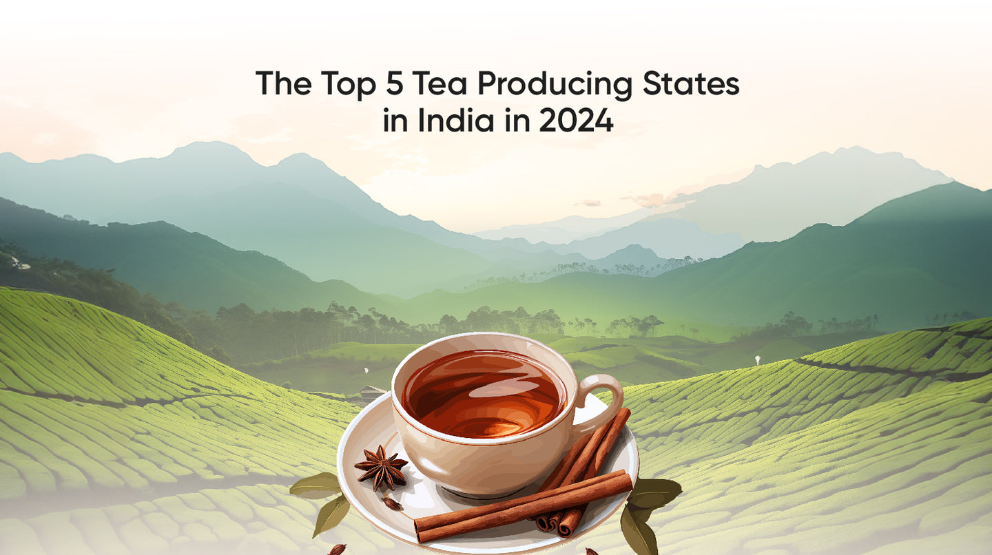 Top 5 Tea Producing States In India In 2024