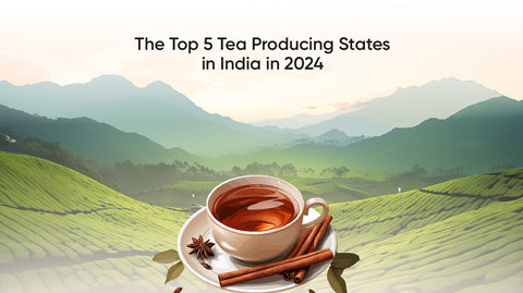 Exploring The Top 10 Most Popular Types Of Indian Tea