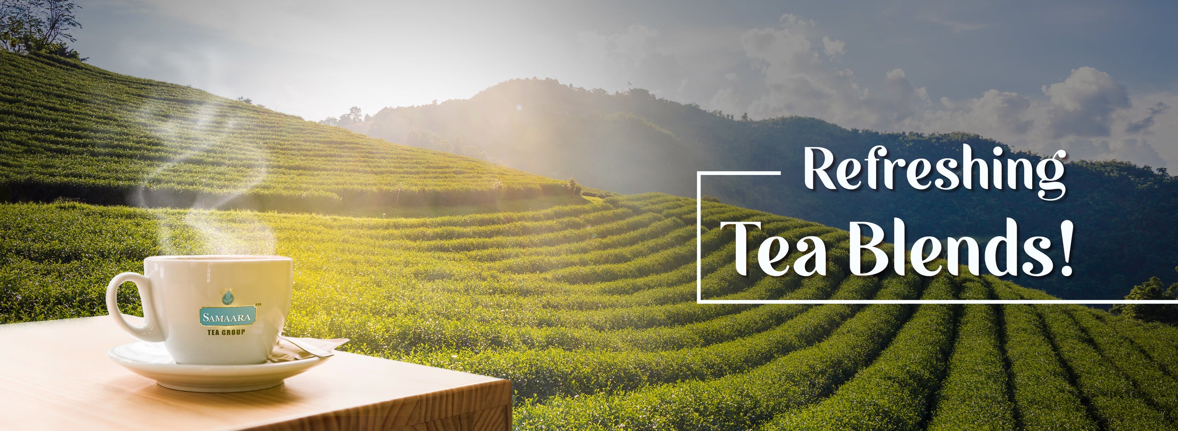 India's No.1 Online Premium Tea Store In India | Samaara Tea